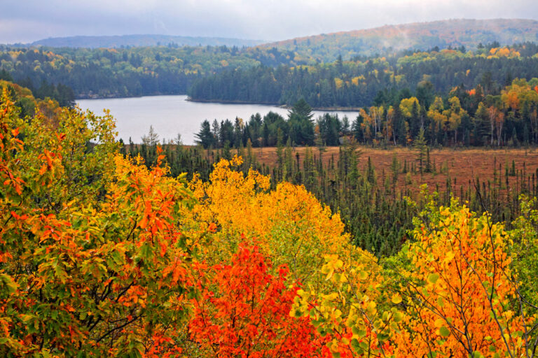 Top 5 Best Destinations to Travel for Fall Foliage in Canada
